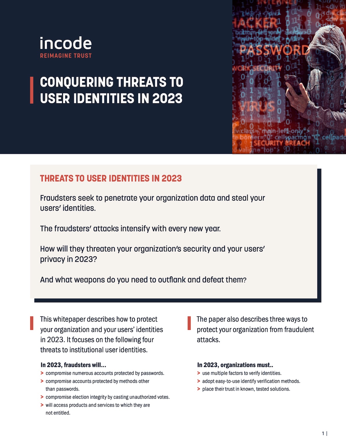 How Can You Protect Your Organization’s Users in 2023? | Incode